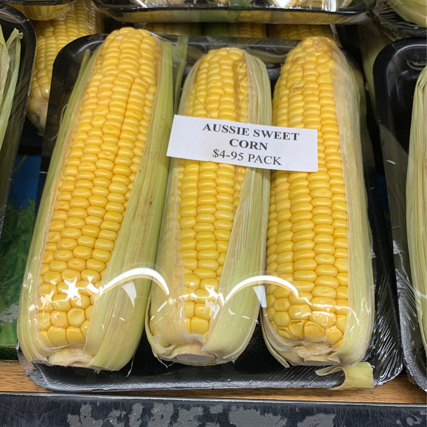 Corn Cobs, Pack of 3