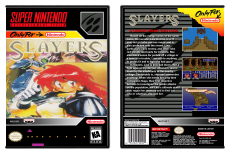 Slayers - SNES Video Game Case