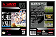 Tecmo Super Bowl II: Special Edition - SNES Video Game Case