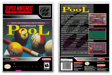 Championship Pool - SNES Video Game Case