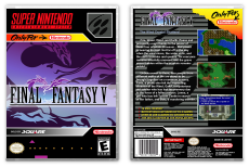 Final Fantasy V - SNES Video Game Case