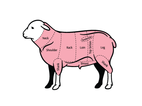 Lamb
