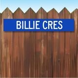 Custom Street Signs