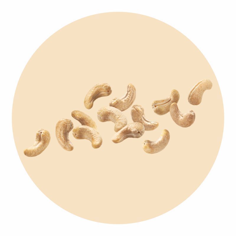 Fruits secs - Noix de macadamia et leurs bienfaits pour la santé ...
