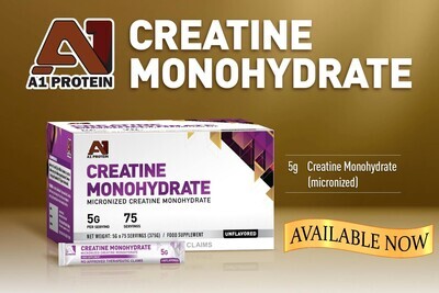 A1 PROTEIN