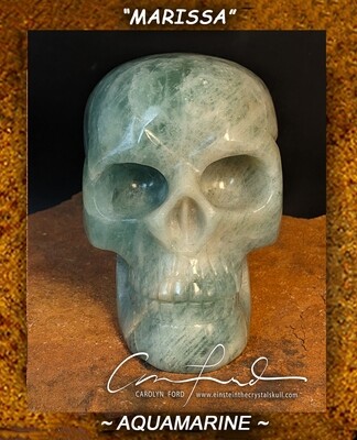 Store | EINSTEIN . . . the Skull of Consciousness