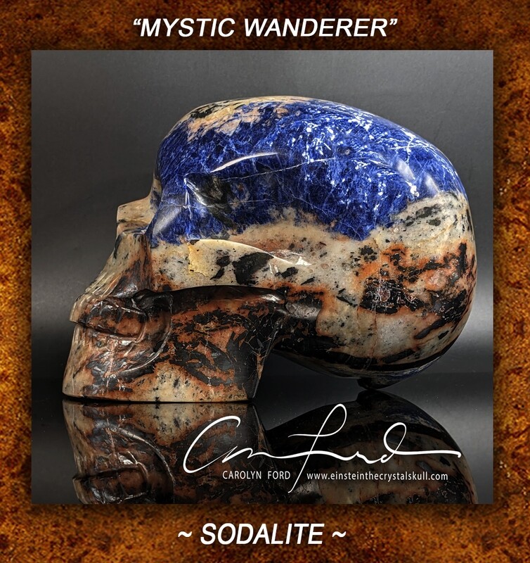 Store | EINSTEIN . . . the Skull of Consciousness