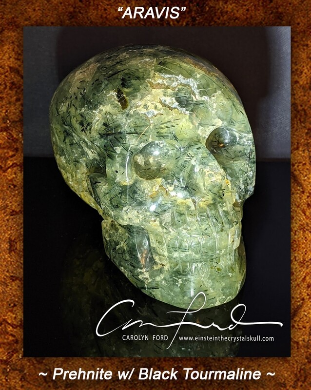 Store | EINSTEIN . . . the Skull of Consciousness