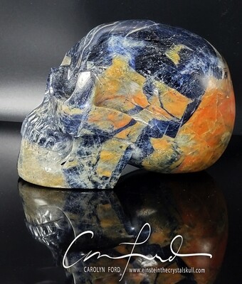 Store | EINSTEIN . . . the Skull of Consciousness