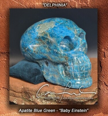 Store | EINSTEIN . . . the Skull of Consciousness