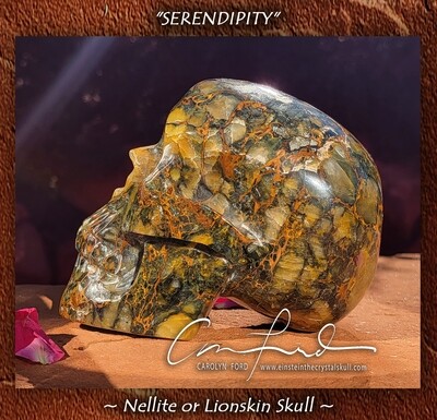 Store | EINSTEIN . . . the Skull of Consciousness