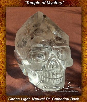 Store | EINSTEIN . . . the Skull of Consciousness