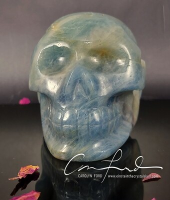 Store | EINSTEIN . . . the Skull of Consciousness