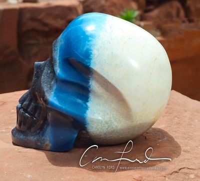 Store | EINSTEIN . . . the Skull of Consciousness