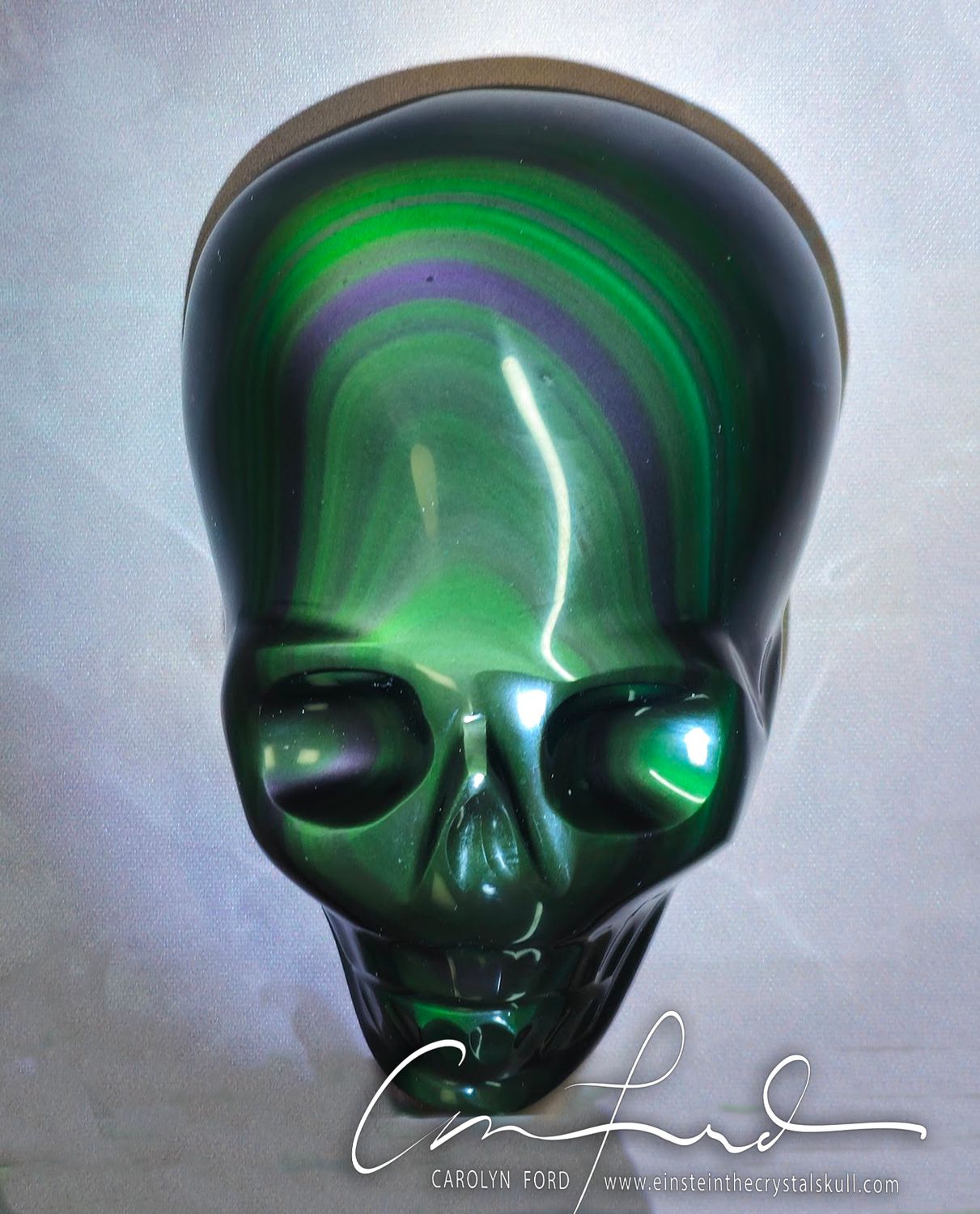 Store | EINSTEIN . . . the Skull of Consciousness