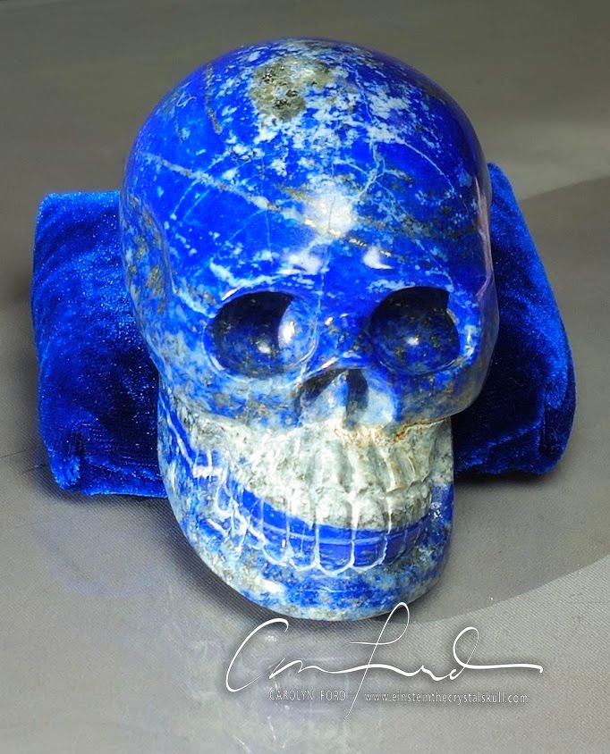 Store | EINSTEIN . . . the Skull of Consciousness