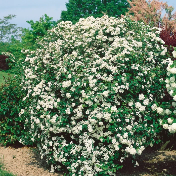 Rechercher des produits - RecolteSauvage - Centre permaculturel