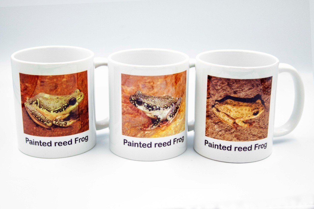 Sandula Conservation