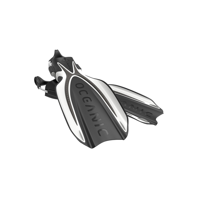 Dive Centre for Scuba Diving Wollongong | Dive Near Me