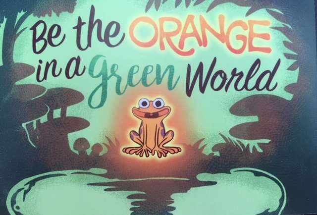 Orange Frog Book