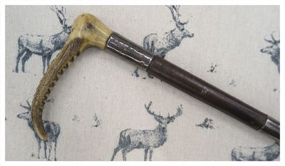 Ladies/Teens Leather Hunting Whip