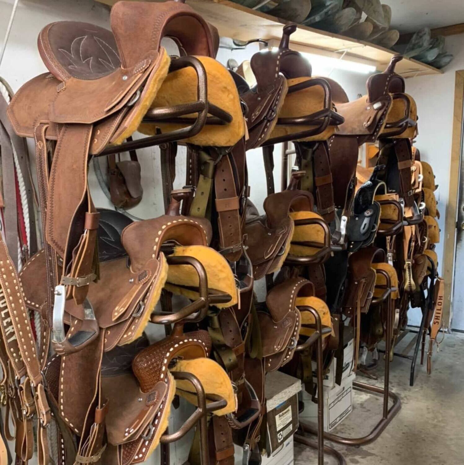 Saddles – Store – Shiloh Saddlery