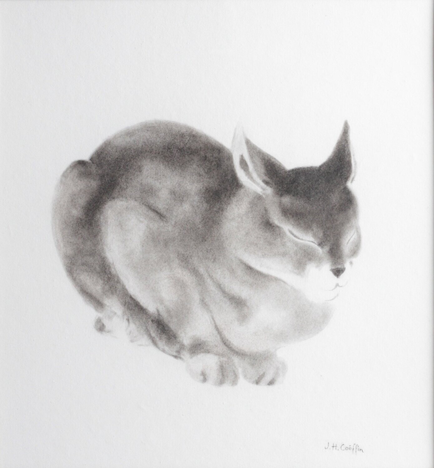 Chat - Josette Hebert-Coeffin