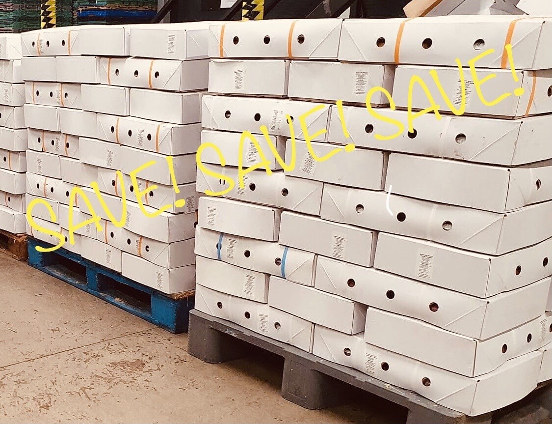 Special Offers & Box Deals