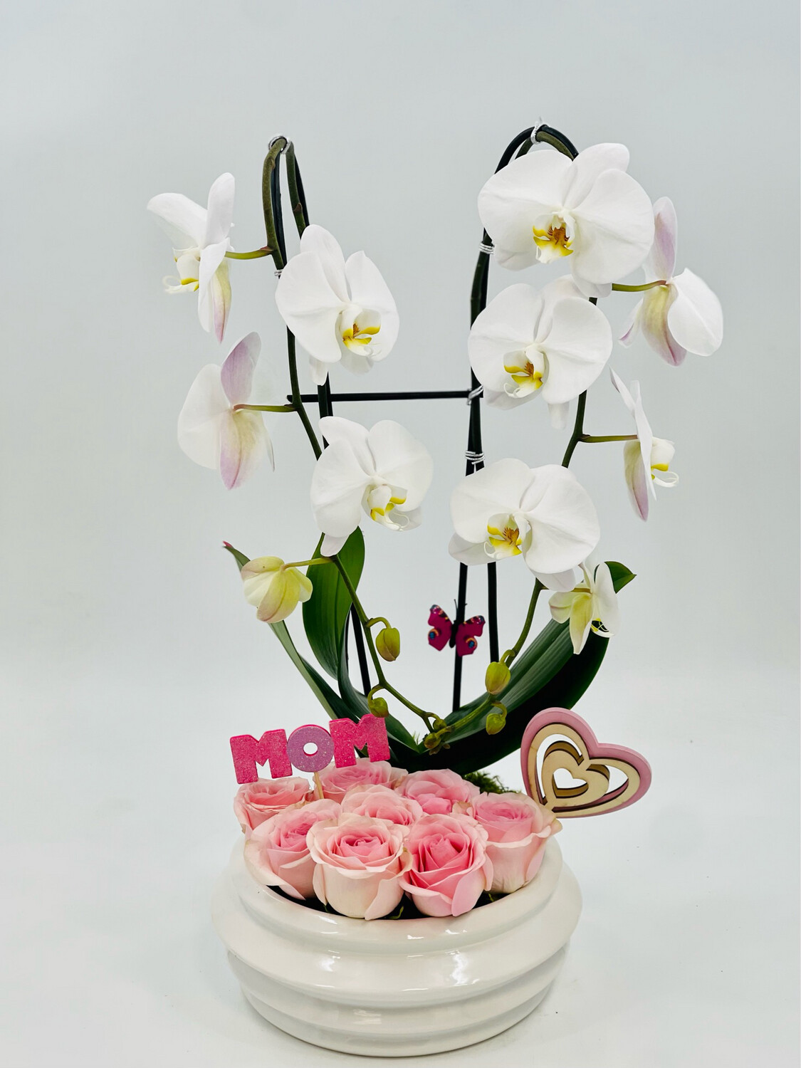 MEDIUM ORCHID ARRANGEMENTS | MR Fresh Orchids