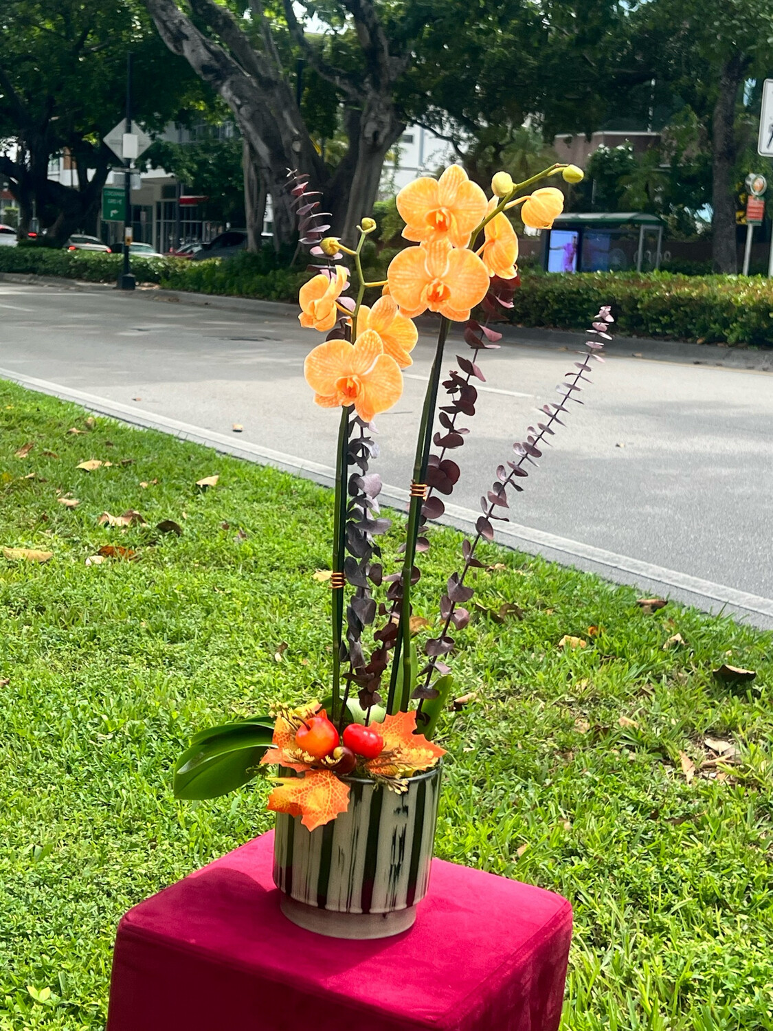 Orange Orchid Arrangement