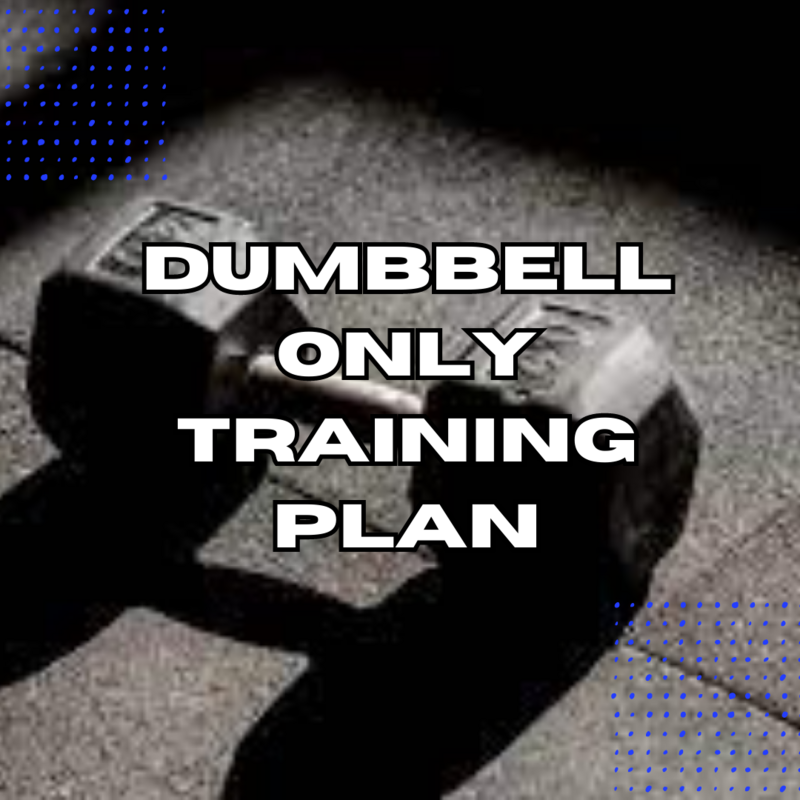 DUMBBELL ONLY TRAINING PLAN