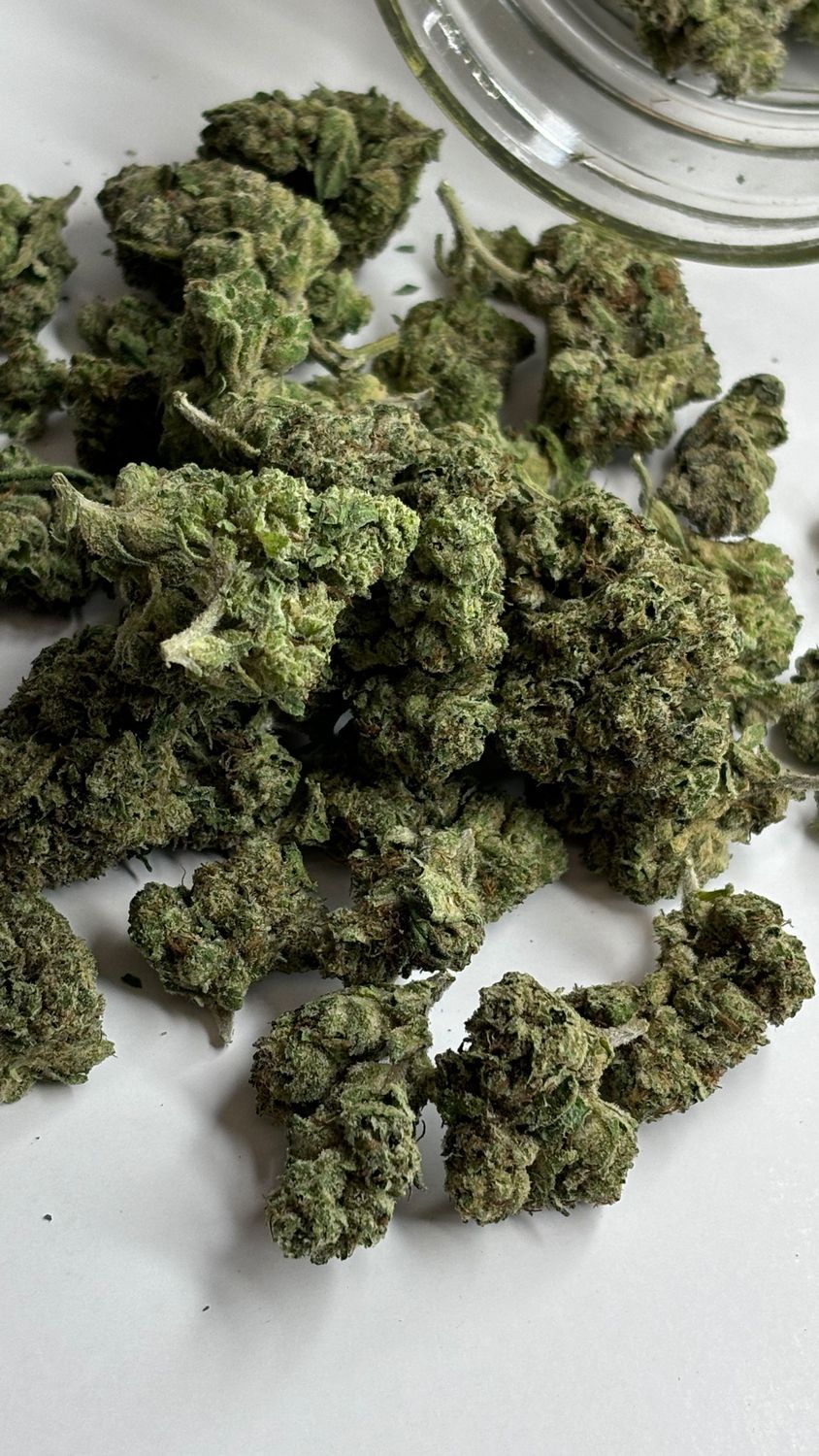 THC-a Flower | $100/oz