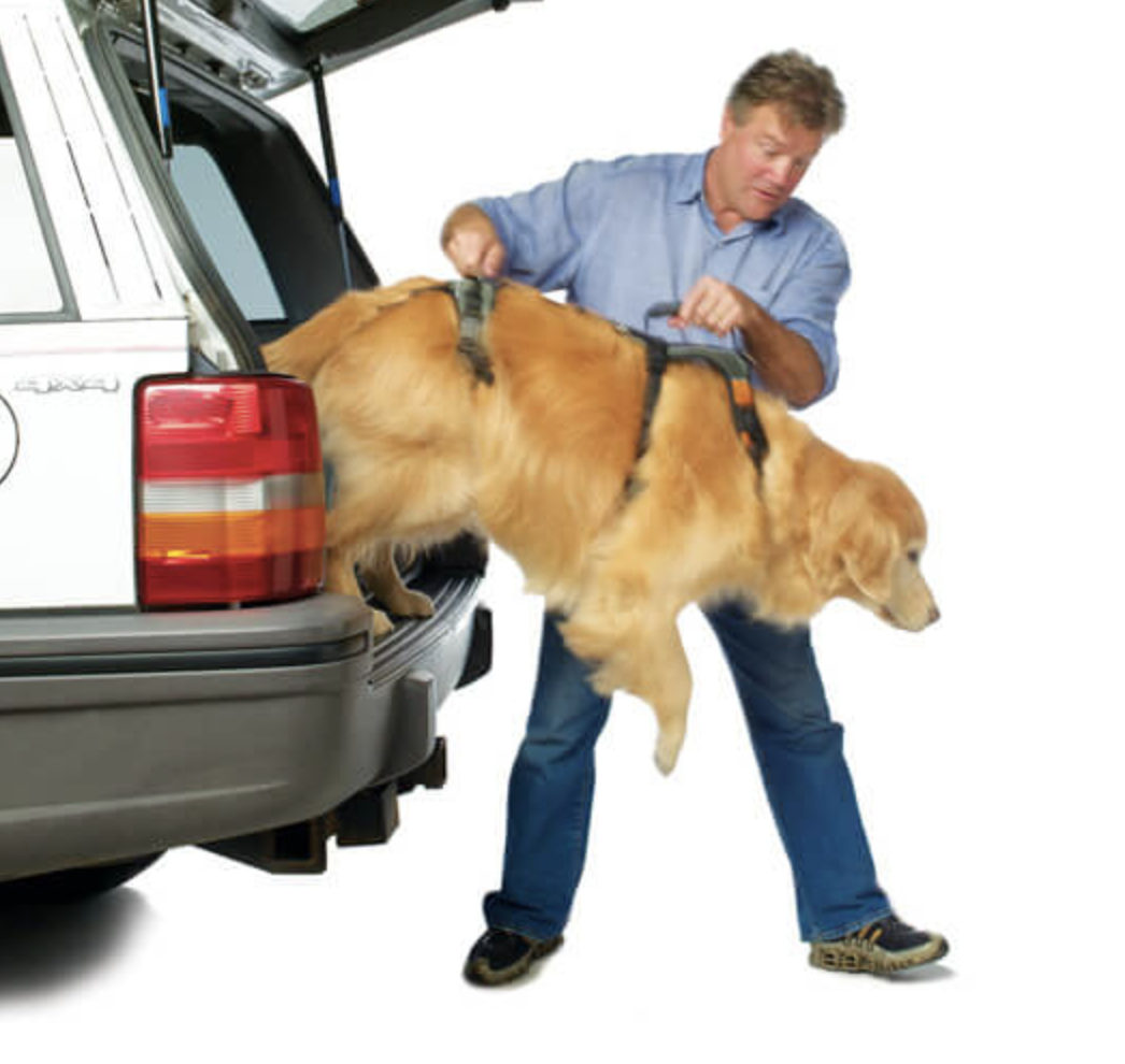 Help 'Em Up Harness - Featuring "Hip Lift"