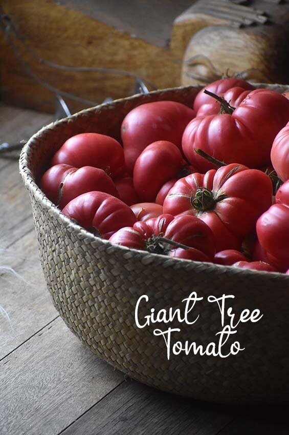 Down2Earth Gardening | Heirloom Seeds & Gardening Supplies