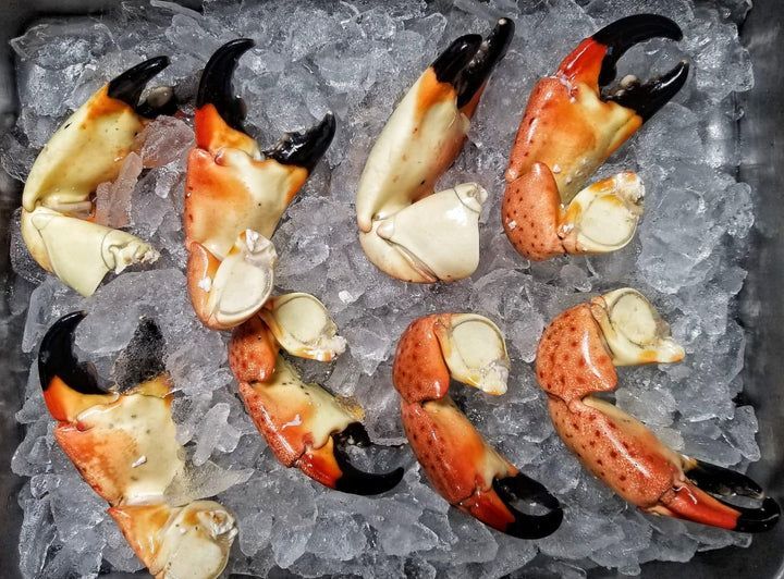 Snow Crab | Cocktail Claws - 3lbs