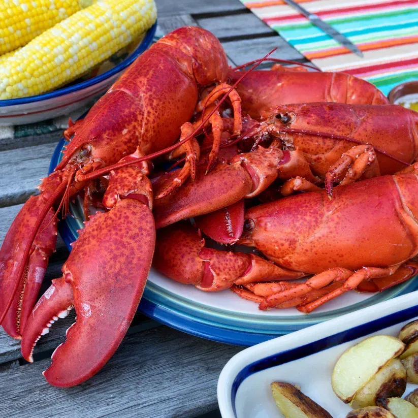 Whole Lobsters