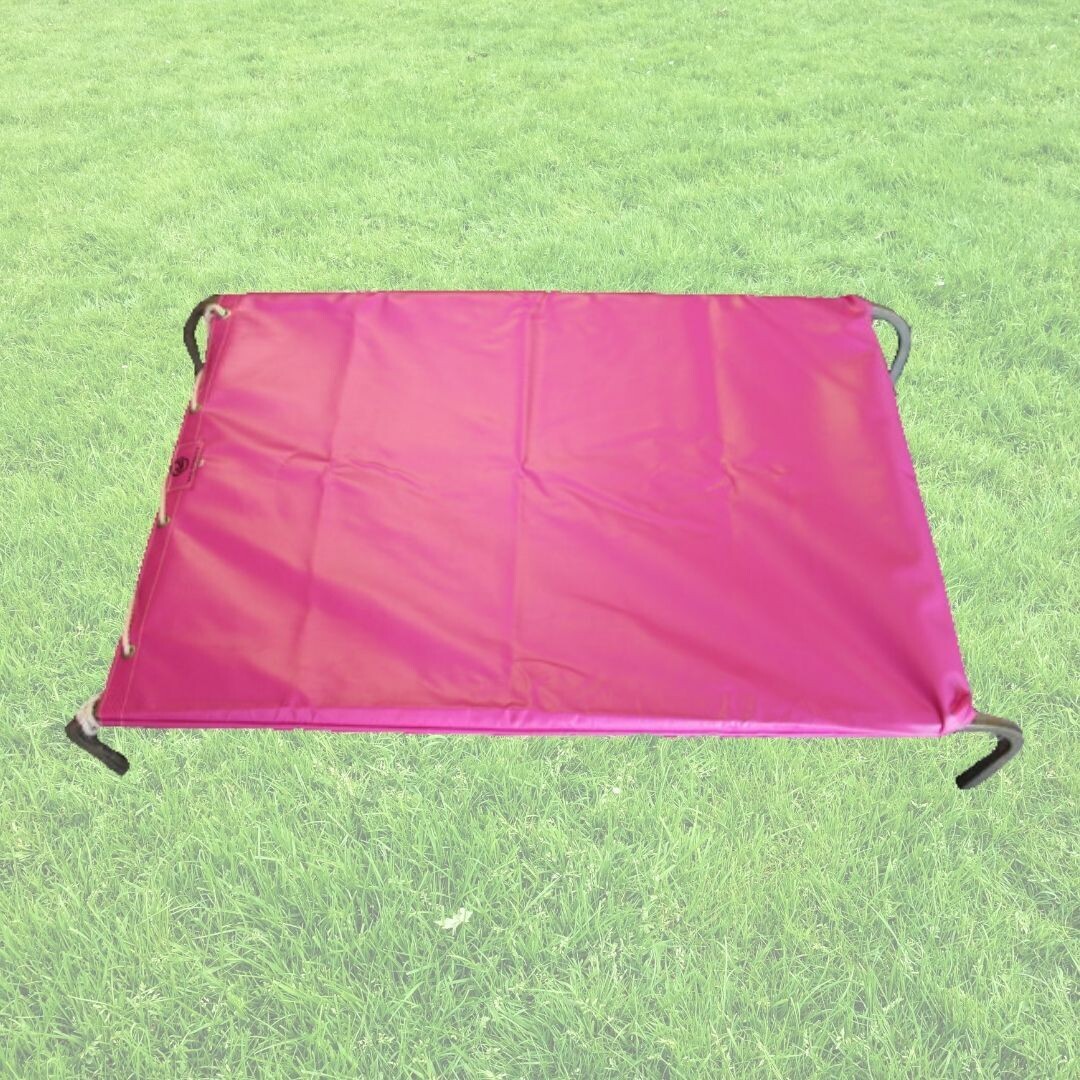 Dog Dynasty Products For Your Mate Australia Dog Dynasty Products For Your Mate Australia