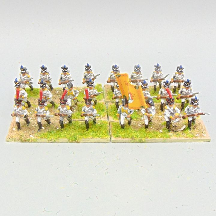 Grade E, RSM: Napoleonic, Saxon Line Infantry Unit