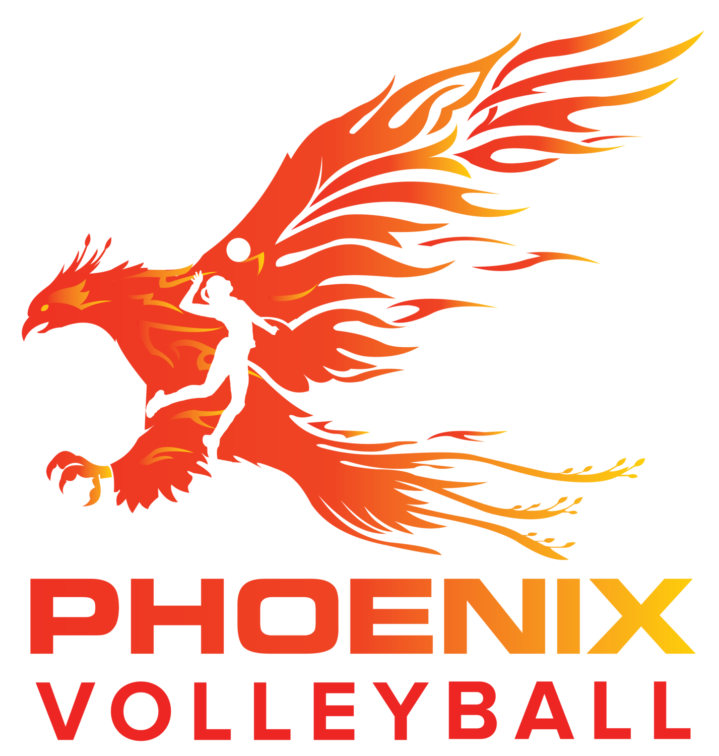 Phoenix Volleyball Club