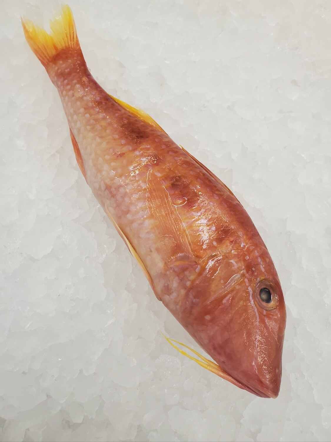 Contact-Free Curbside Pickup