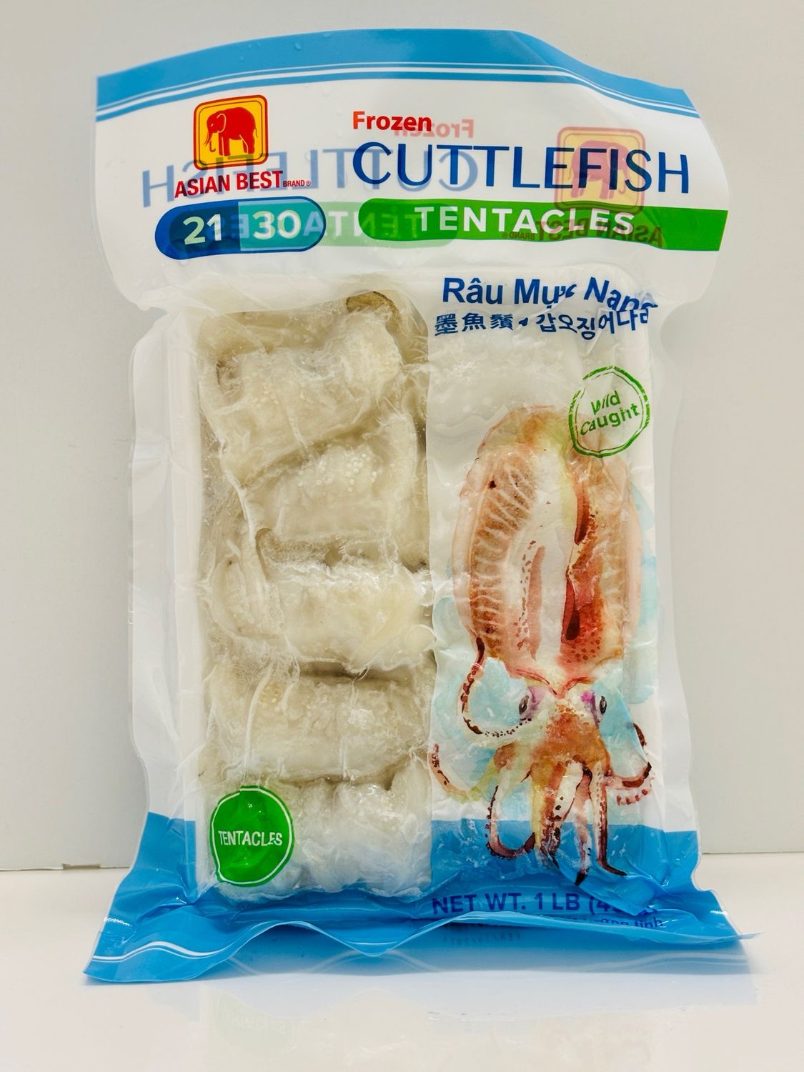 Asian Best Cuttlefish Tentacles