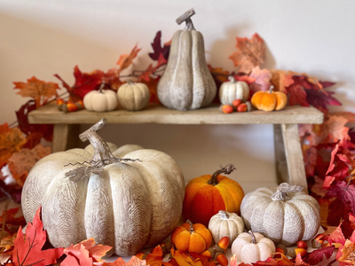 Daisy Cottage Décor - For your Home and Garden - Let's Shop