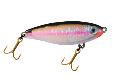 Limited Edition Customs