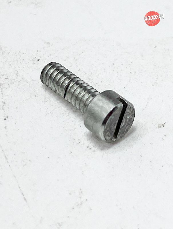 12-20 Cheese Head Frog Screw