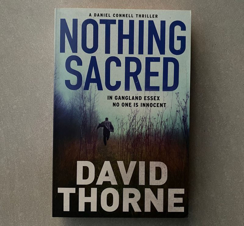Nothing Sacred - David Thorne (Book)