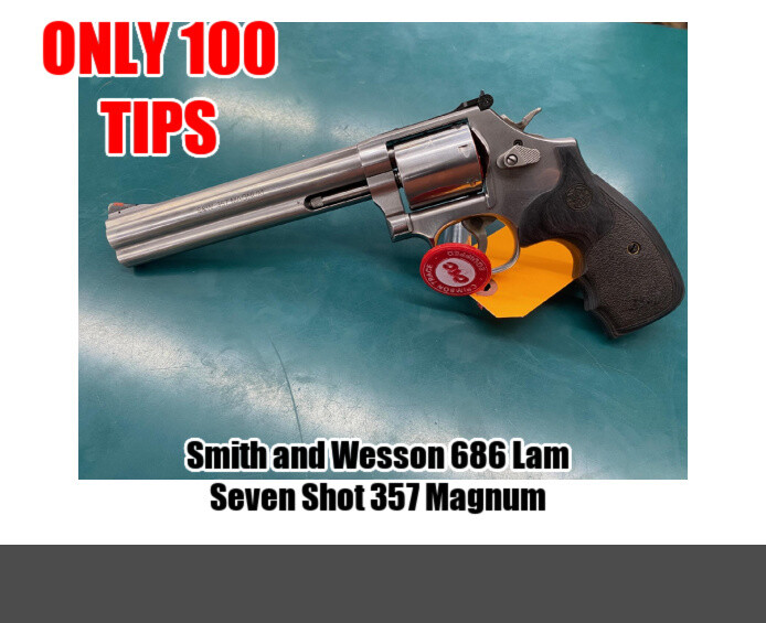 Smith and Wesson 686 Lam Seven Shot 357 Magnum