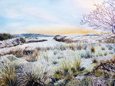 Sarah Elliott Fine Art