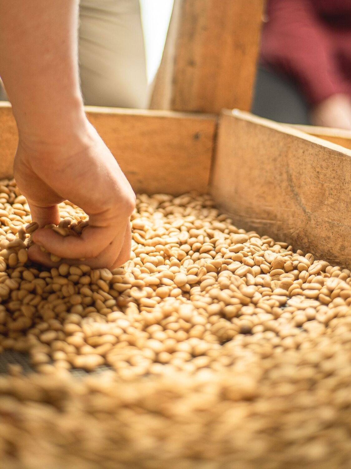 Washed Coffees - TCP Specialty Coffee - Those Coffee People