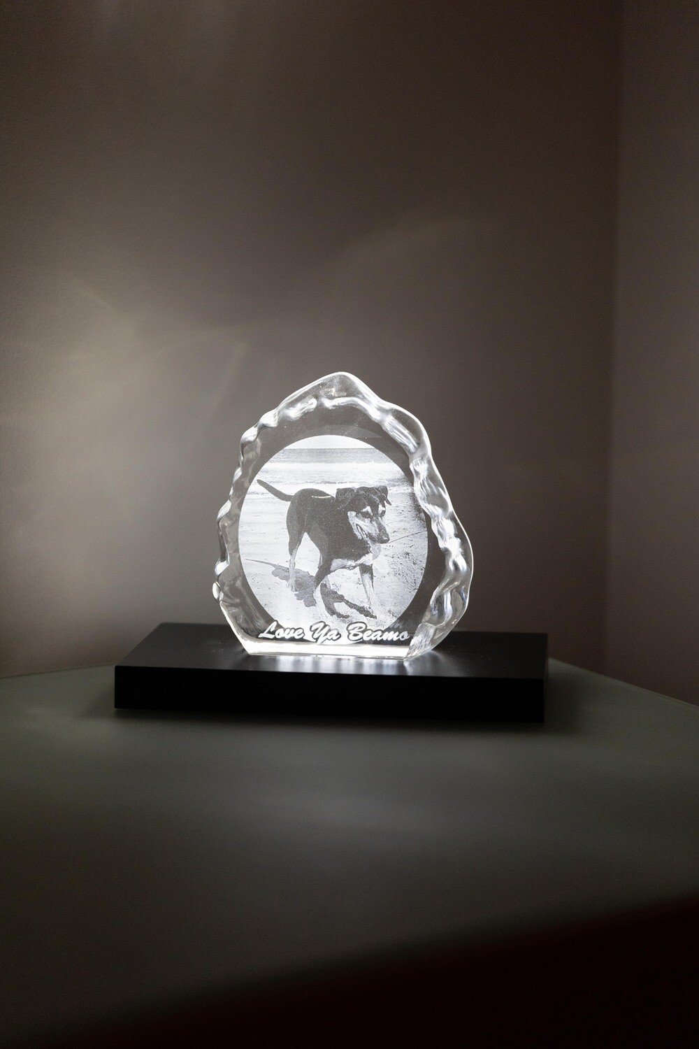 2D Crystal Laser