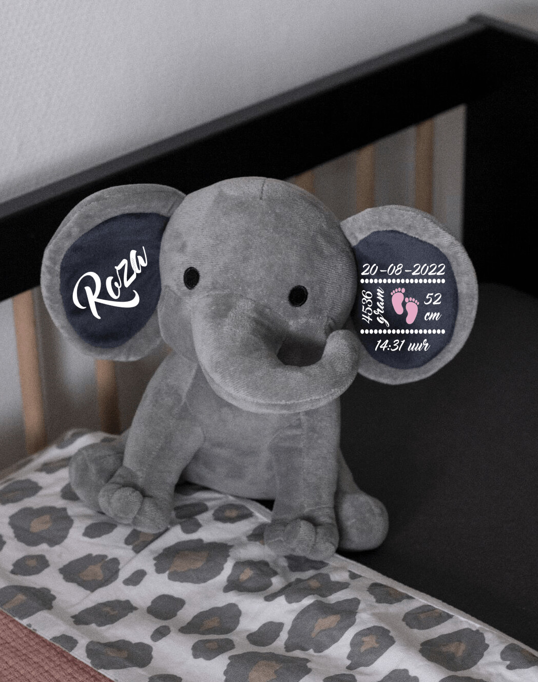 Gepersonaliseerde geboorte knuffel
